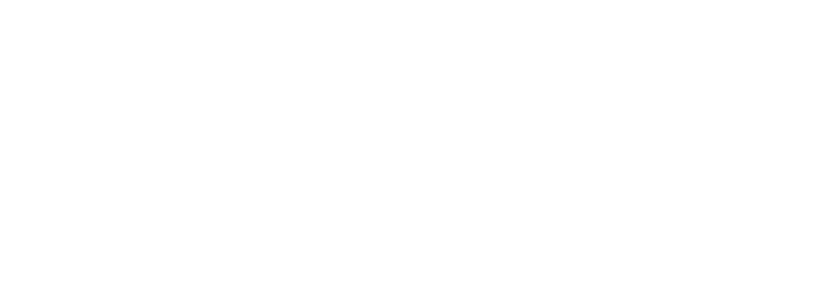 N-REG – Renewable Connections